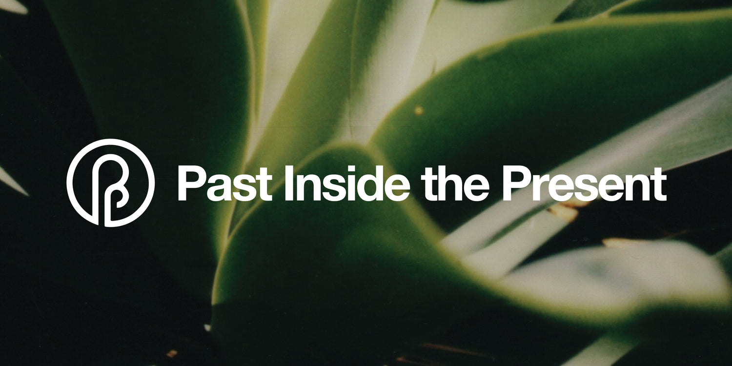 Past Inside the Present | PITP Shop